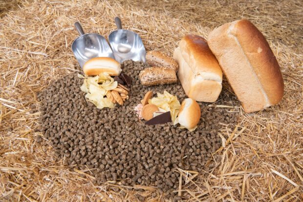 Voerwaarts introduceert 100% circulair varkensvoer - Duurzaam Ondernemen