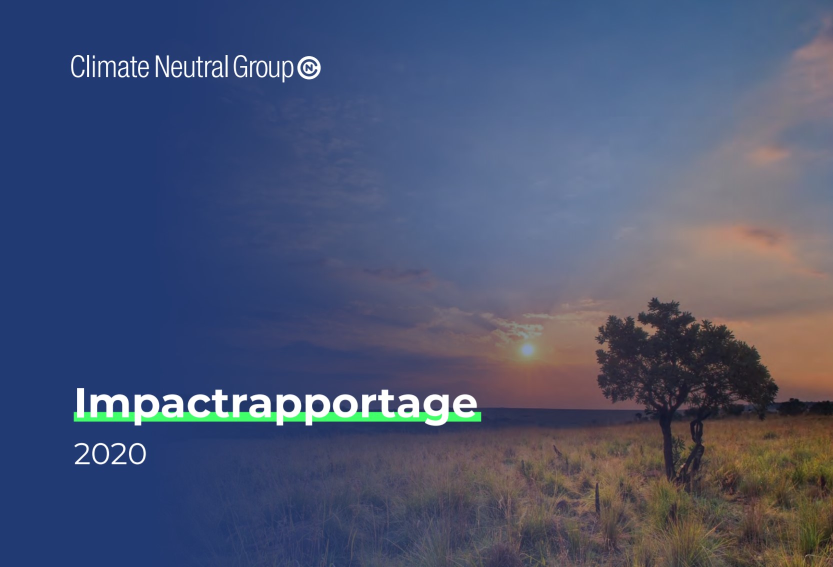 Climate Neutral Group's impact meer dan verdubbeld in 2020 - Duurzaam ...