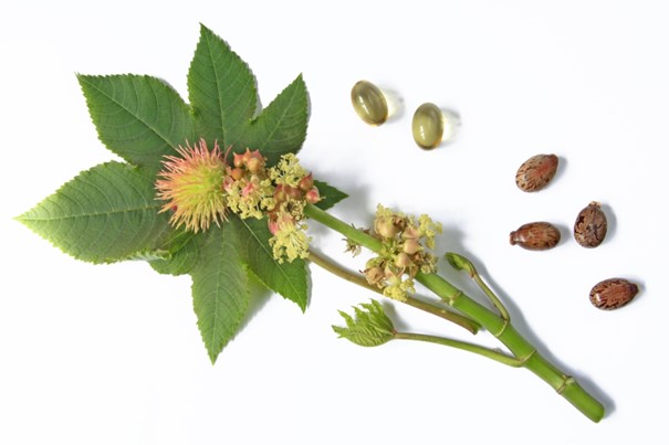 DSM Engineering Materials launches new, more sustainable and 100% ...