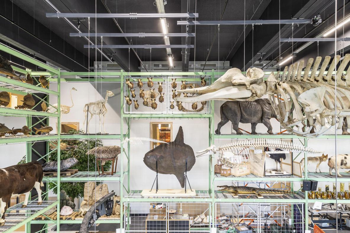 KPMG en Naturalis bundelen krachten - Duurzaam Ondernemen