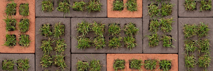 Vandersanden introduceert Greenflow® groenbestrating: een duurzame ...