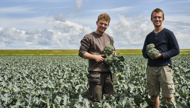 RVO geeft groen licht EU-steun van 156 miljoen euro voor duurzaamheid ...
